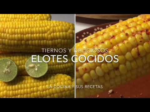 En cuánto tiempo se cuecen los elotes: guía práctica